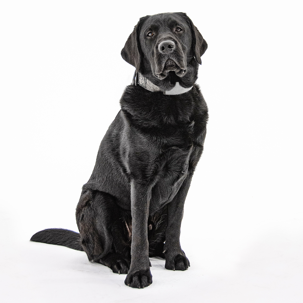 Kentucky State Police